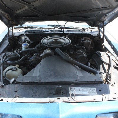 1980 Pontiac Firebird (Blue) | FantomWorks