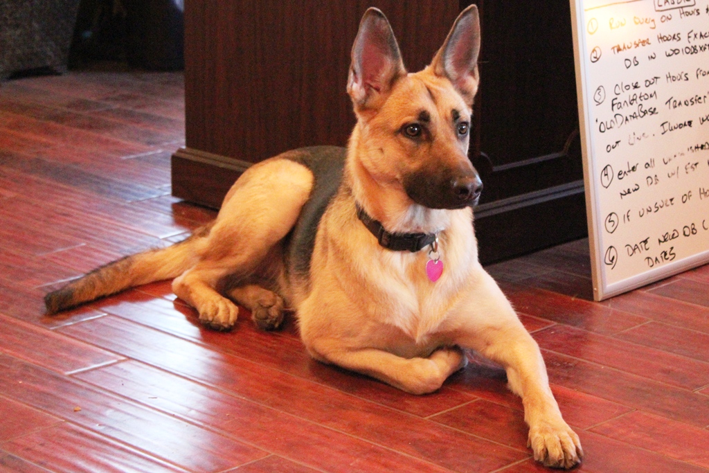 Meet the Team | FantomWorks